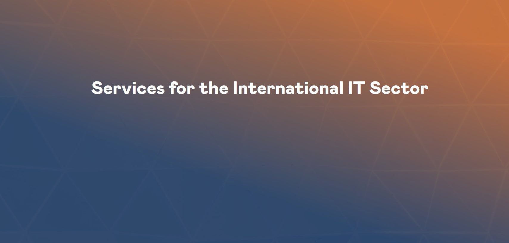 Services for the International IT Sector - Capital Times